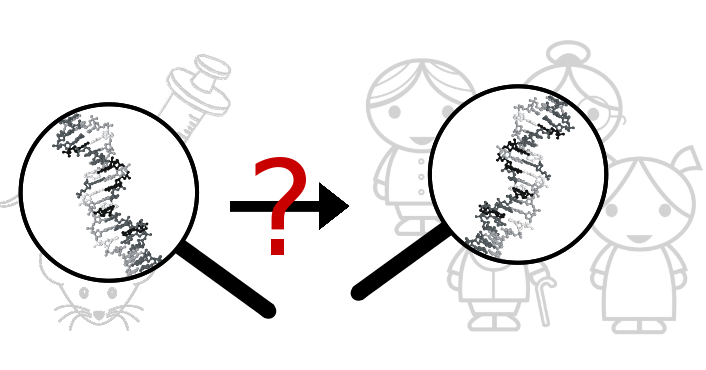 Nieuwe wiskundige modellen voorspellen succes medicijnonderzoek