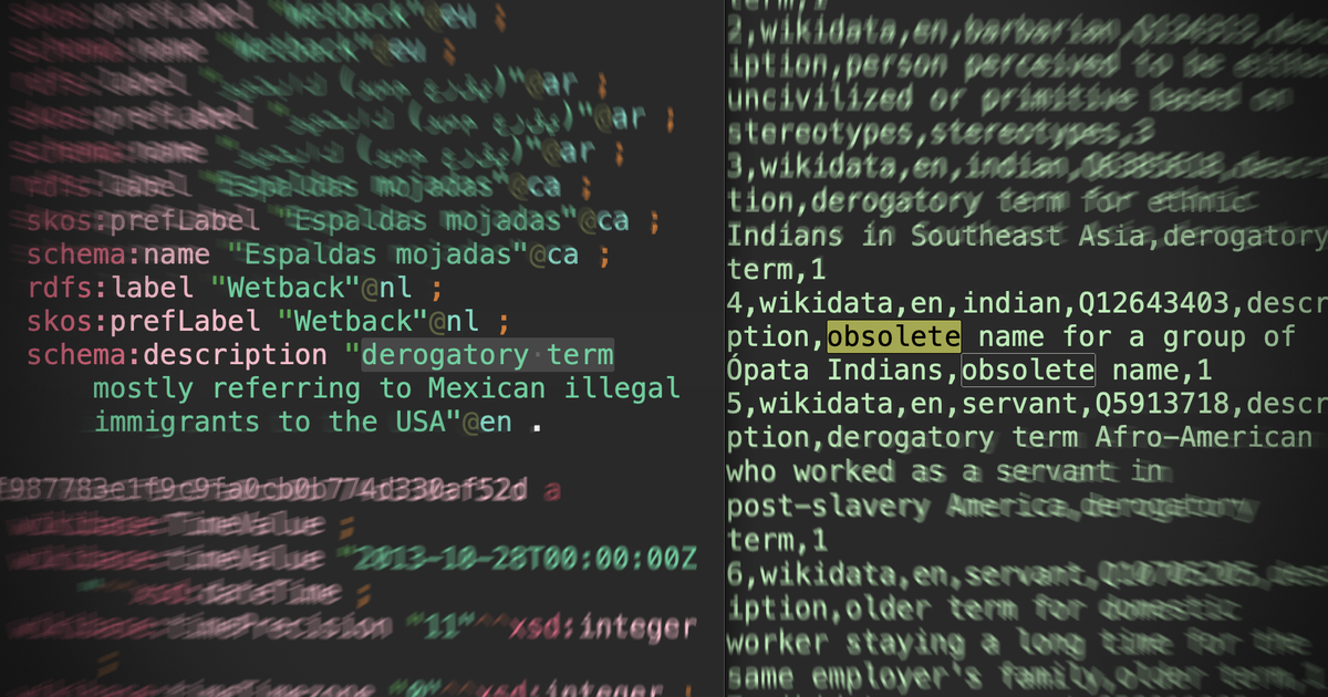 Controversial terms about people and cultures in widely used datasets